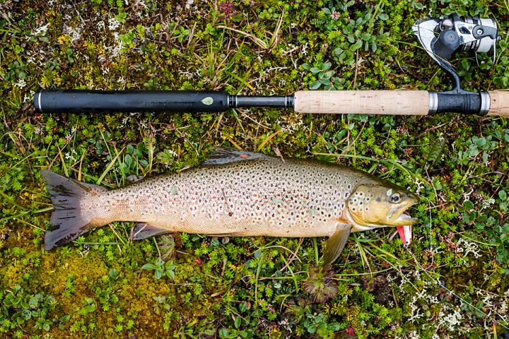 Norges beste sluk til ørret og røye